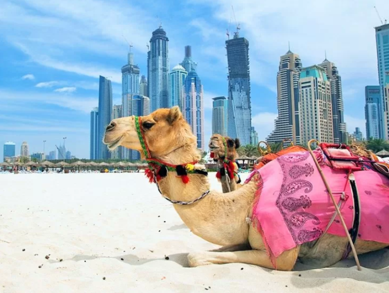 Nation of Indian Rich People Invading the UAE! - voiceofgulf